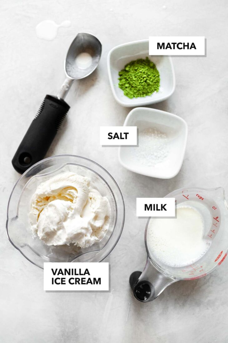 Quick & Easy Matcha Milkshake - Oh, How Civilized